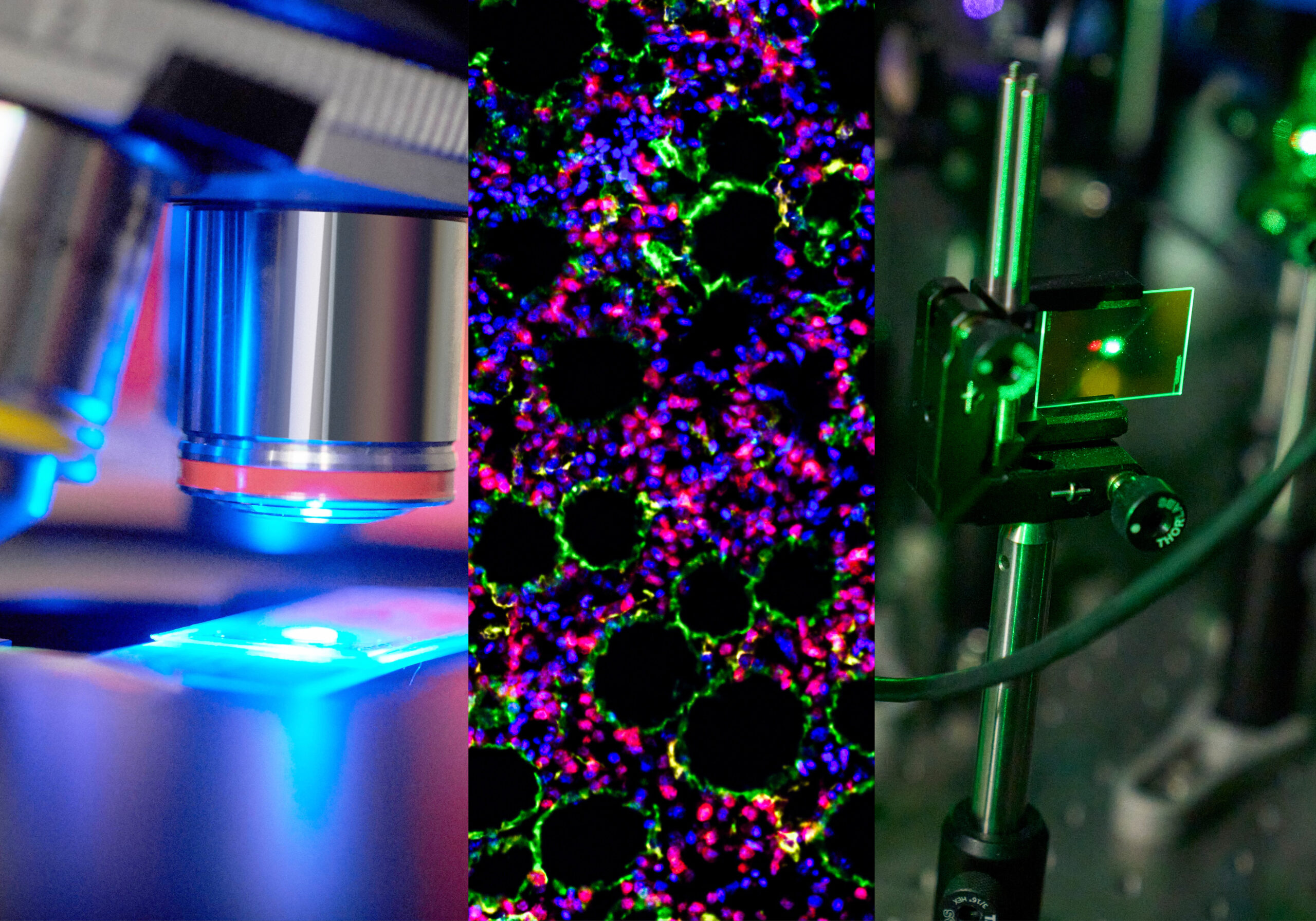 NYU Selects Nine Projects for 2025 Technology Acceleration and ...